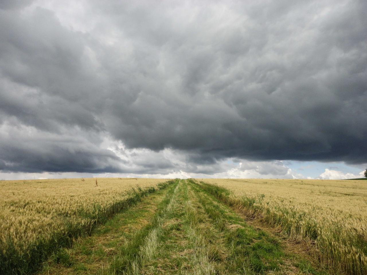 Der Wetterau-Spessart-Weg | GPS Wanderatlas
