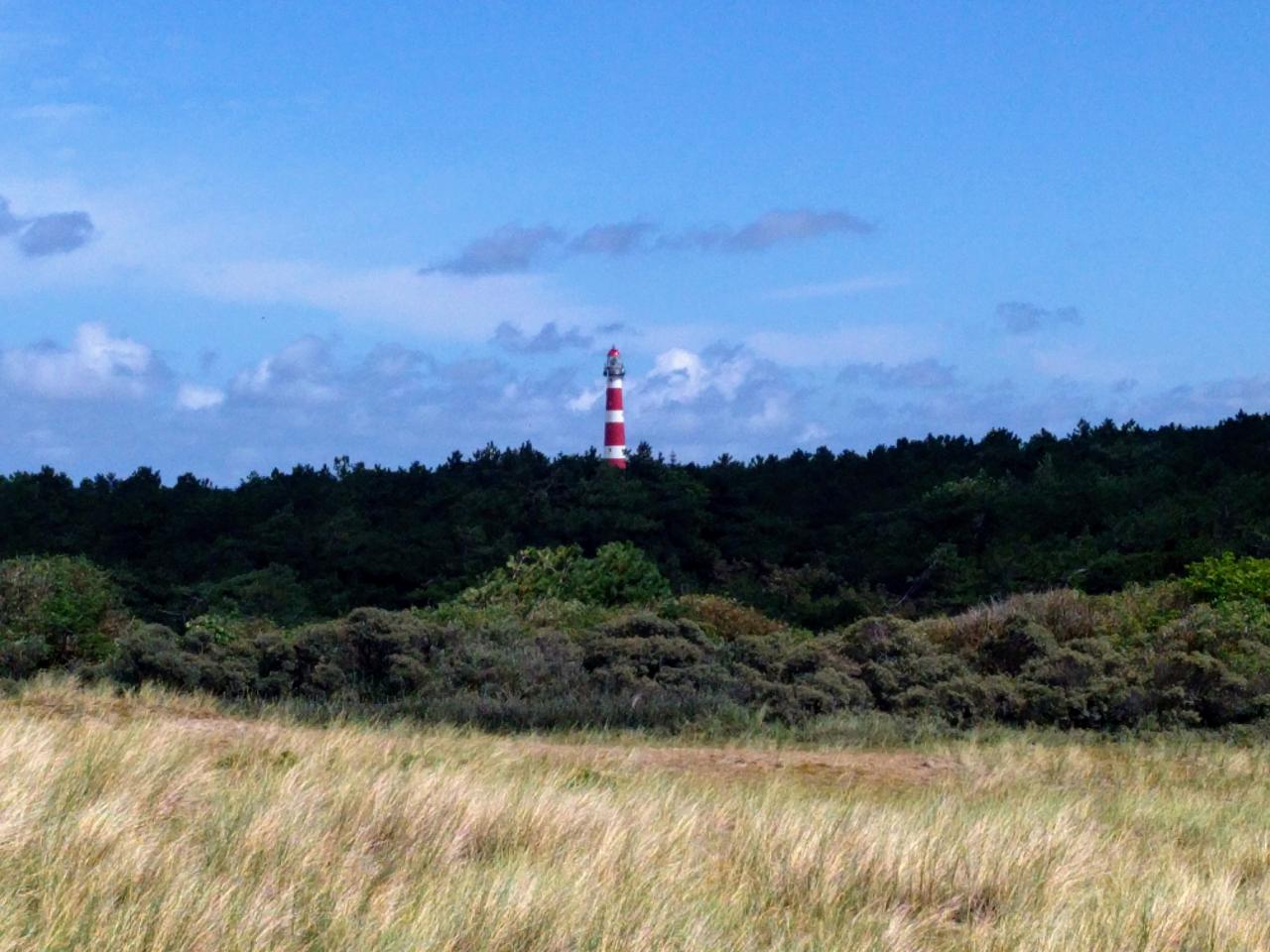 Ameland 7 Nes Bosch | GPS Wanderatlas