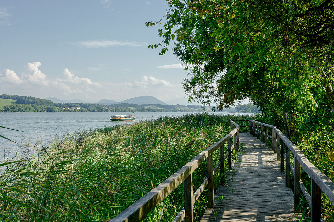 Seehamer Rundweg (am Obertrumer See) | GPS Wanderatlas