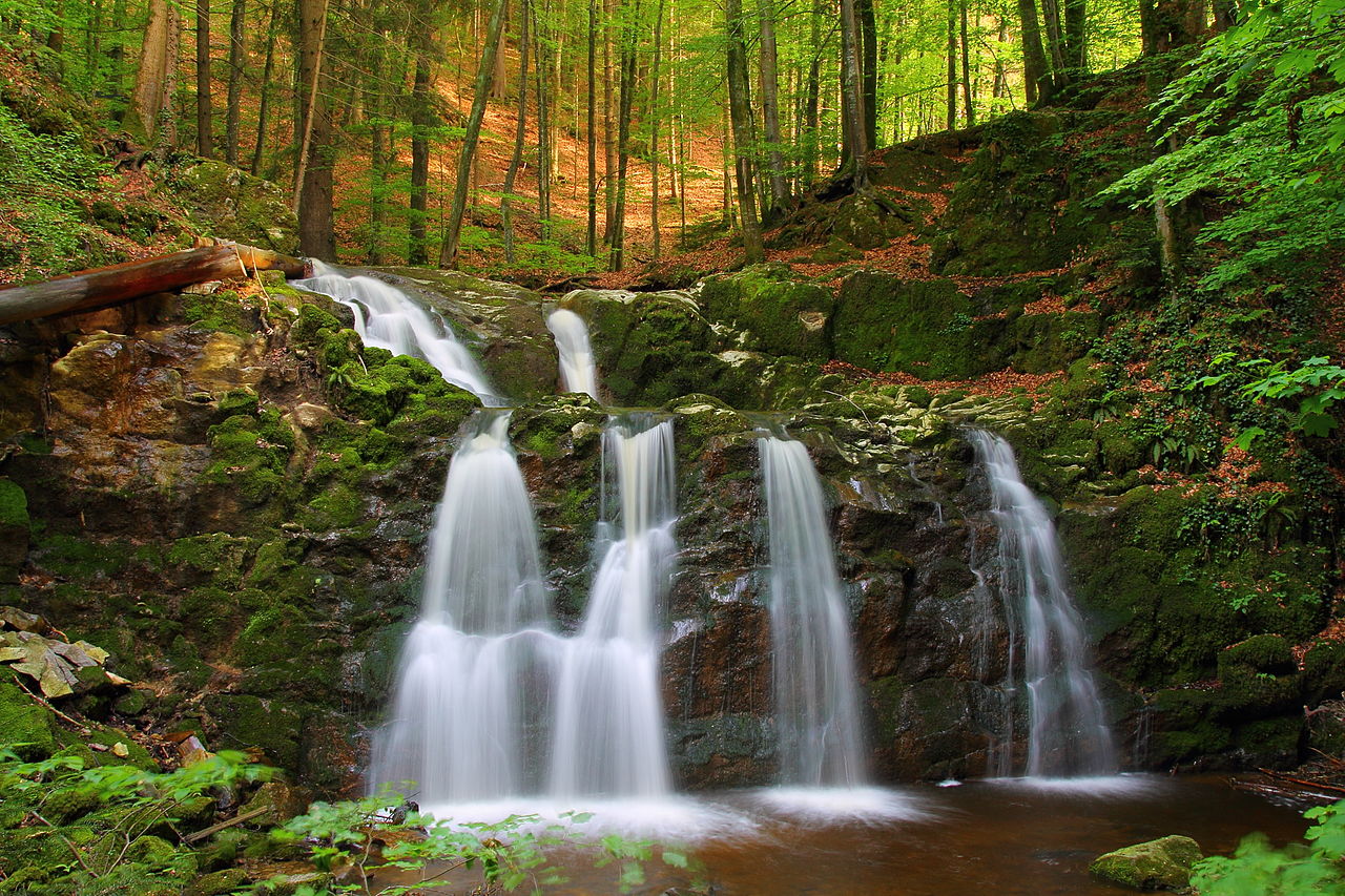 Durch den Teufelsgraben zum Wildkarwasserfall (Obertrumer See) | GPS ...