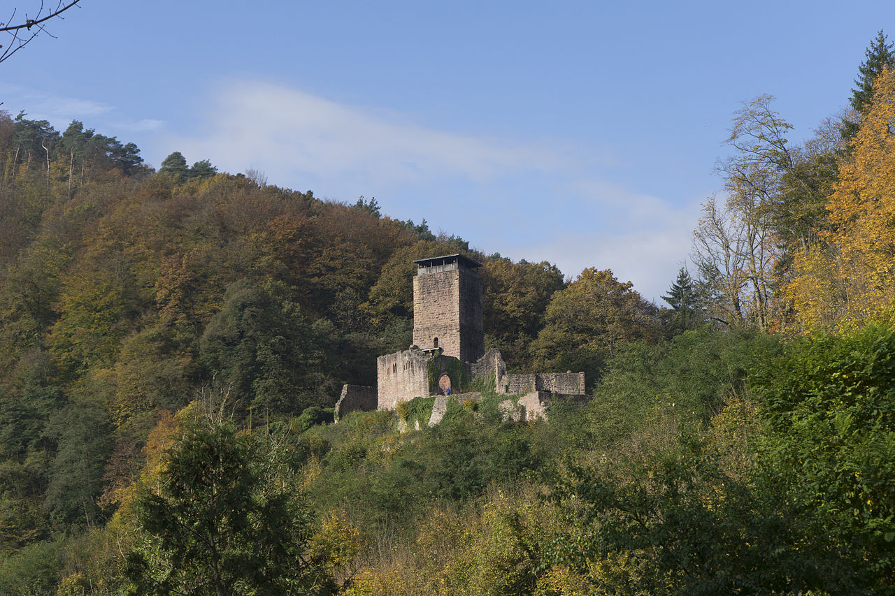 Zwei-Burgen-Wanderung Neckarsteinach | GPS Wanderatlas