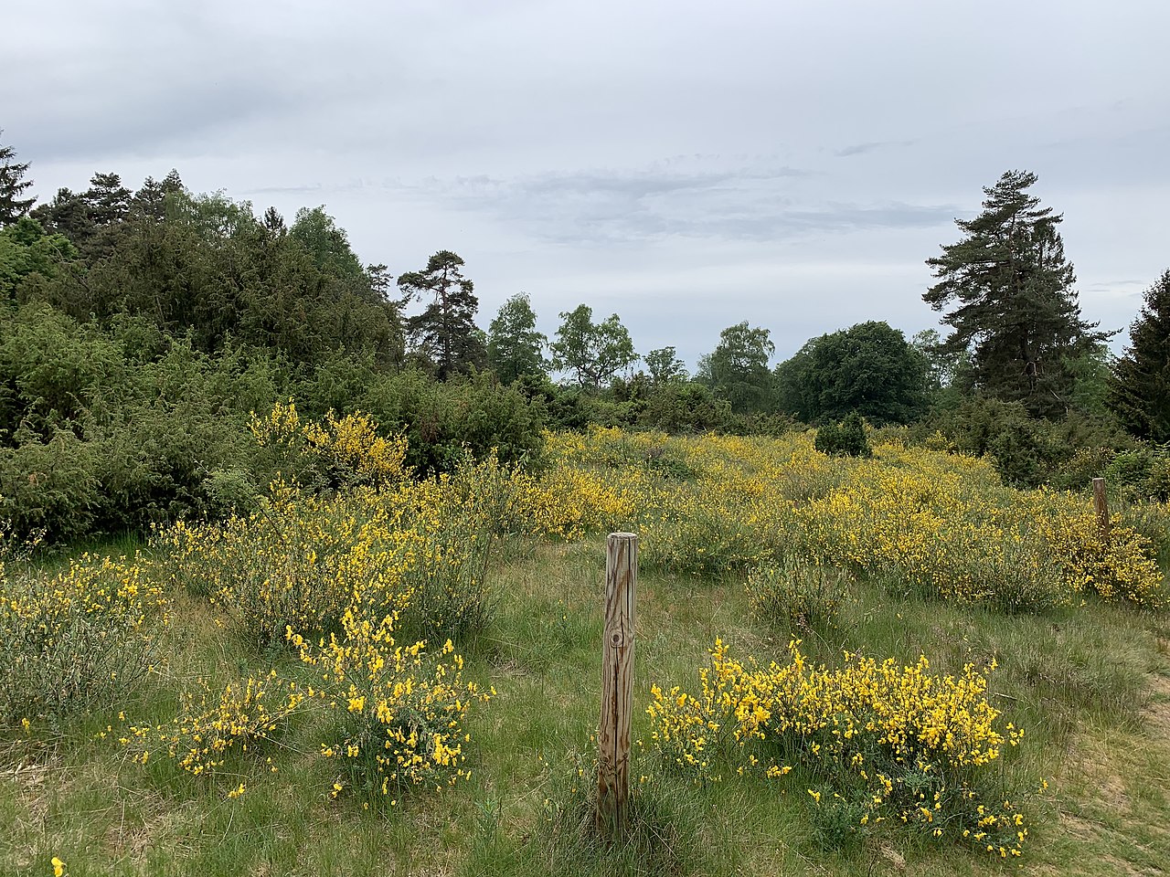 Rund um Riedelbach und Mauloff | GPS Wanderatlas