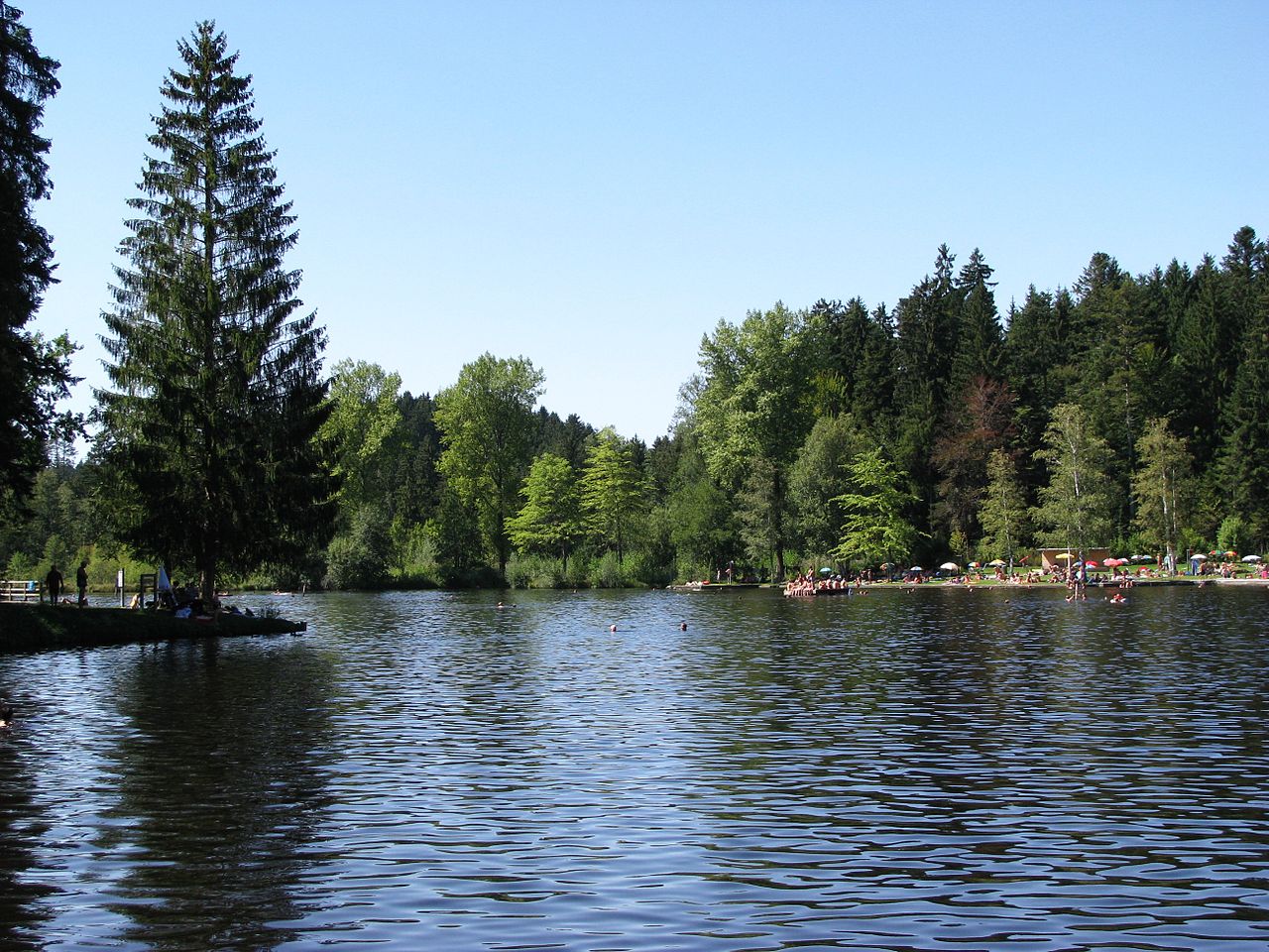 Waldsee-Runde Lindenberg im Allgäu | GPS Wanderatlas