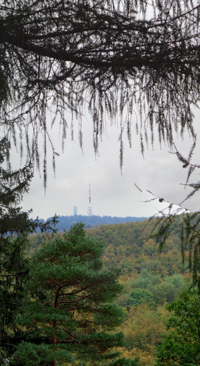 Winterstein-Großer Inselsberg (Thüringer Wald) | GPS Wanderatlas