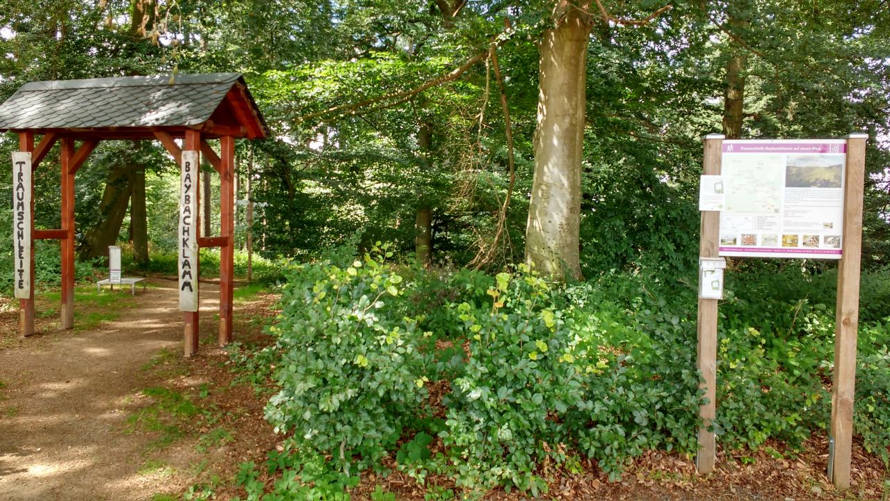 Von Heyweiler ins Baybachtal | GPS Wanderatlas