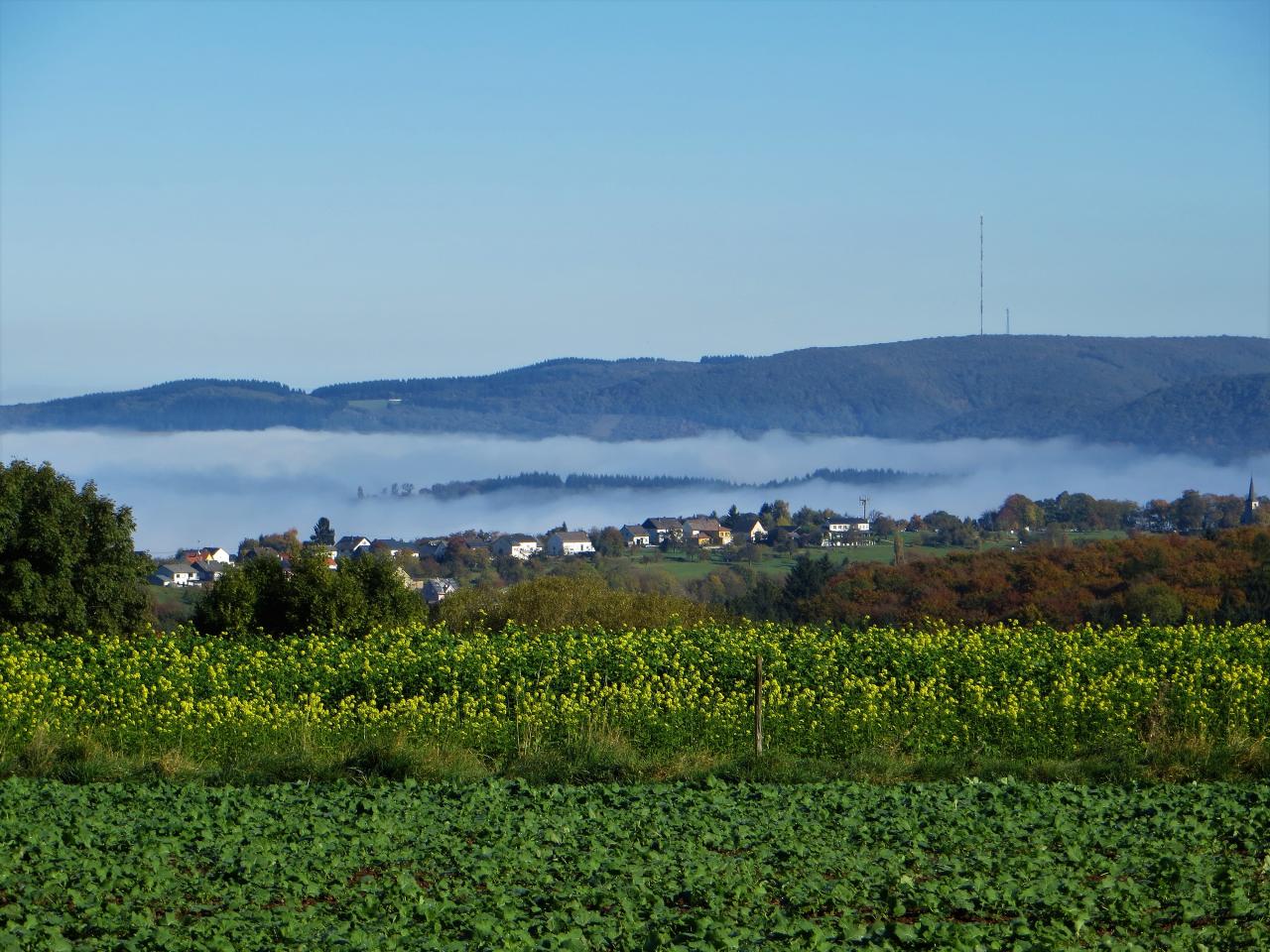 Über den Kaiserweg bei Taben-Rodt | GPS Wanderatlas