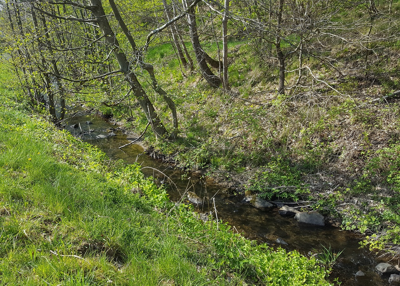 Von Herdorf zum Silbersee Malscheid (Hohenseelbachskopf) | GPS Wanderatlas