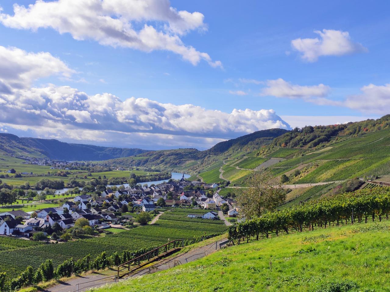 Durch die Weinberge bei Osann-Monzel | GPS Wanderatlas