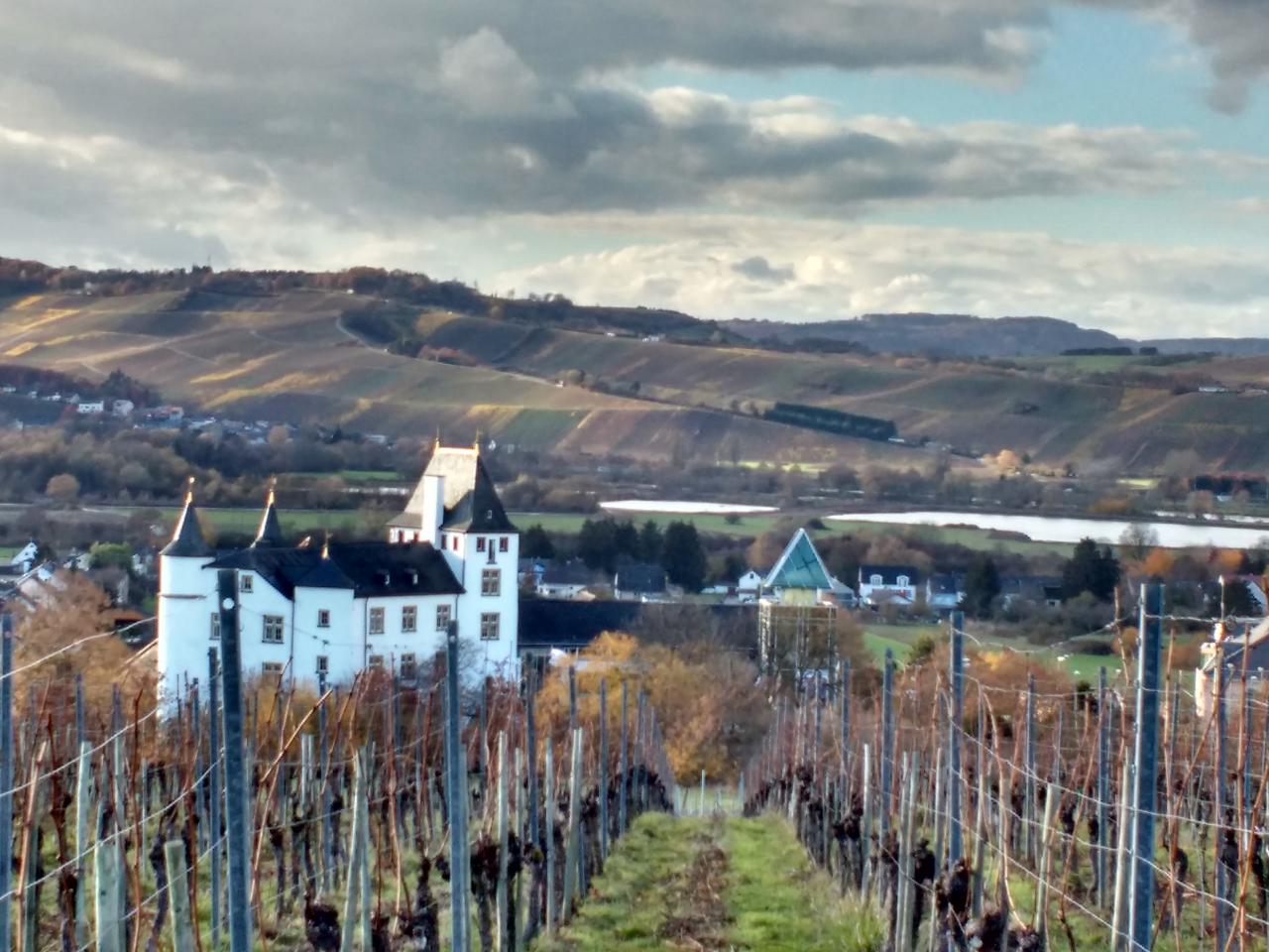 Vorbei an Weinbergen, Dolinen und Streuobstwiesen bei Nennig | GPS ...