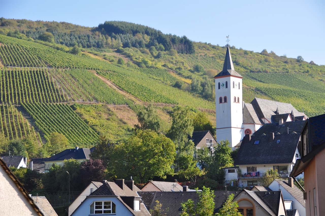 Waldrach | GPS Wanderatlas