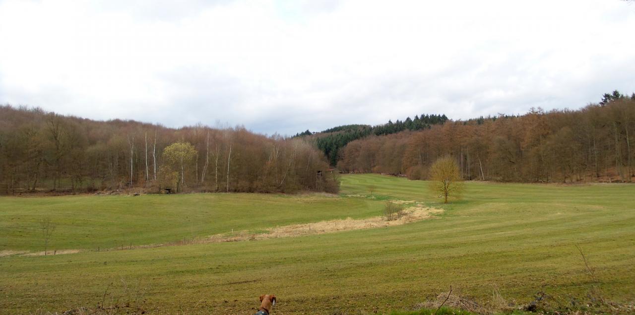 Rengsdorf - Bonefeld - Hardert (Rengsdorfer Land-Tour 3) | GPS Wanderatlas