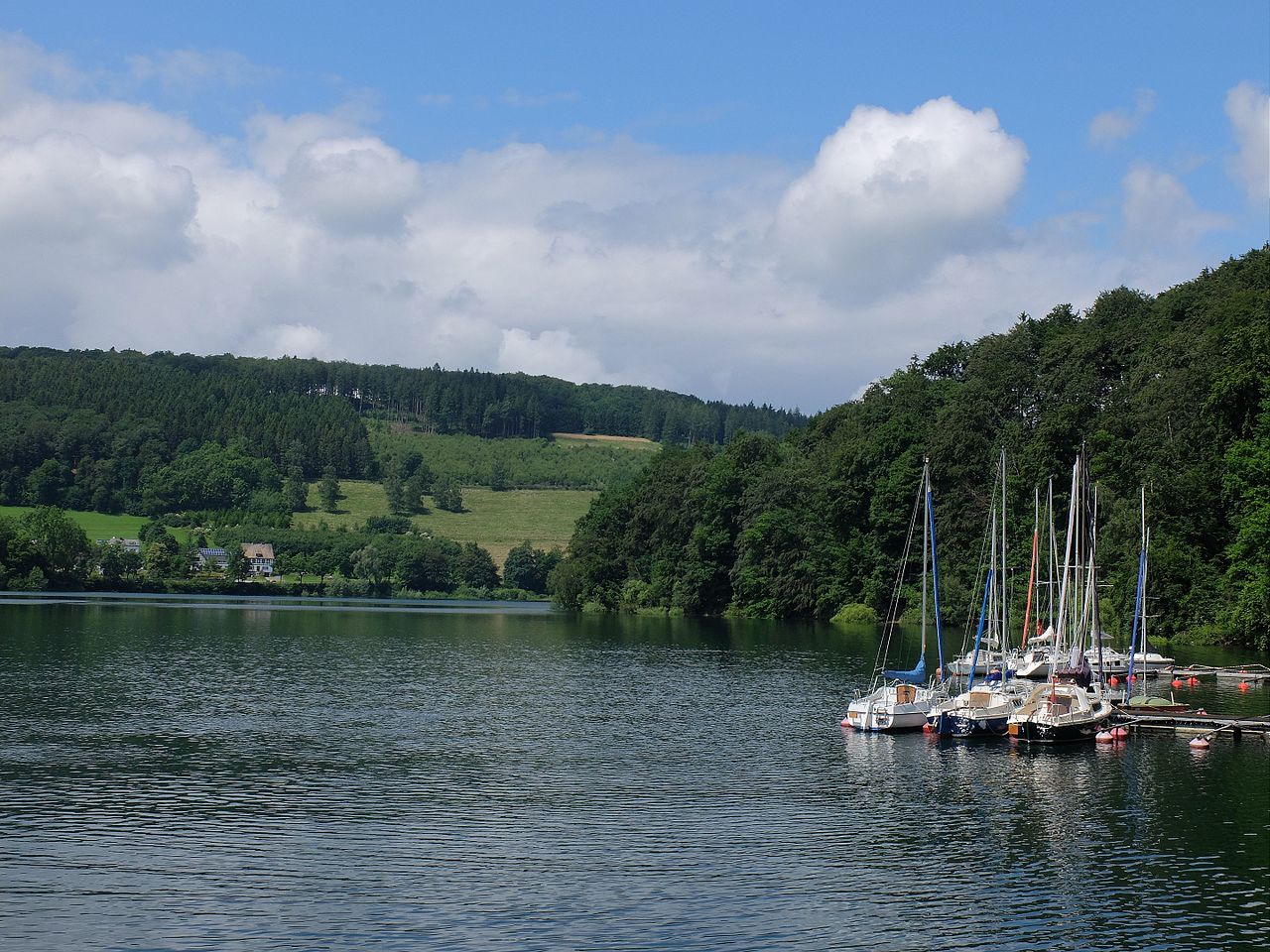 Rundtour von Meschede zum Hennesee | GPS Wanderatlas