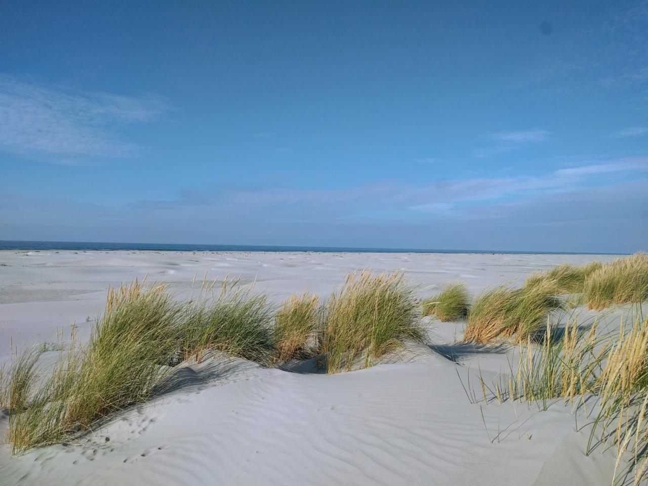 Ameland 9 Nes Strand | GPS Wanderatlas