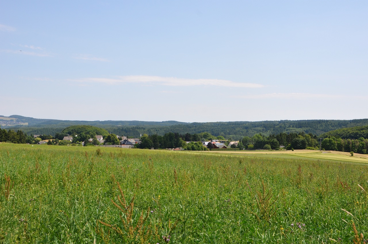 Buir (Nettersheim) | GPS Wanderatlas