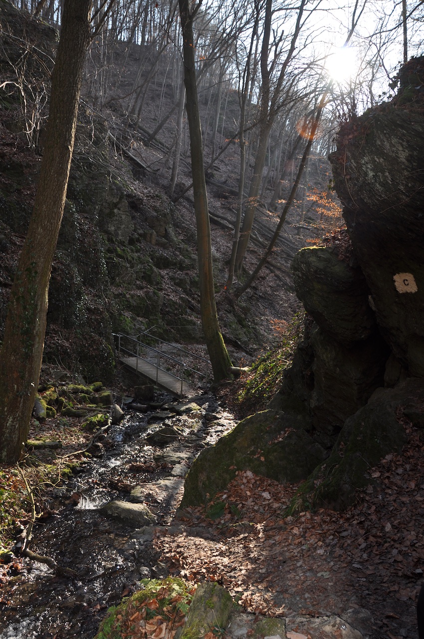 Lahnstein: Die 5 besten Rundtouren an der Mündung der Lahn in den Rhein ...