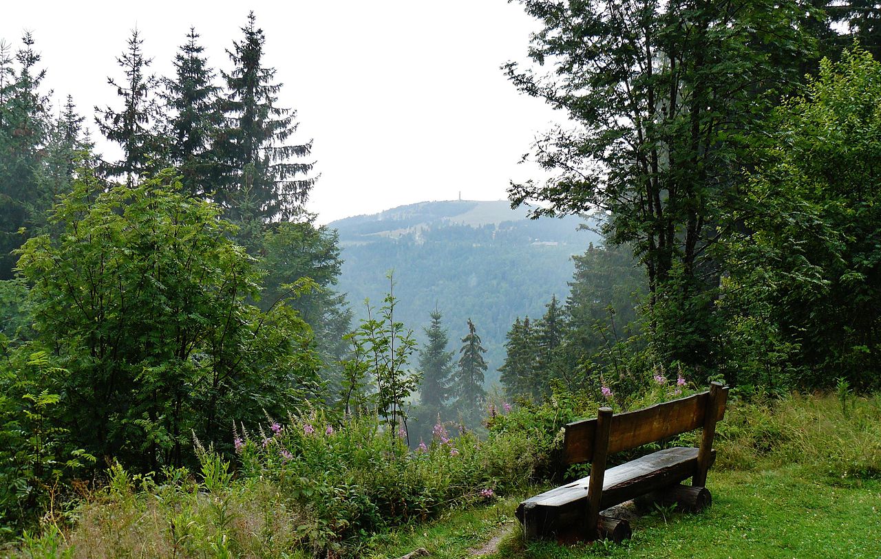 Gipfeltour Schwarzwald: Vom Feldberg zum Stübenwasen | GPS Wanderatlas Gipfeltour Schwarzwald: Vom Feldberg zum Stübenwasen | GPS Wanderatlas