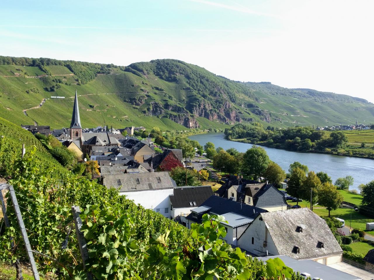 Durch die Weinlagen bei Ürzig an der Mosel | GPS Wanderatlas