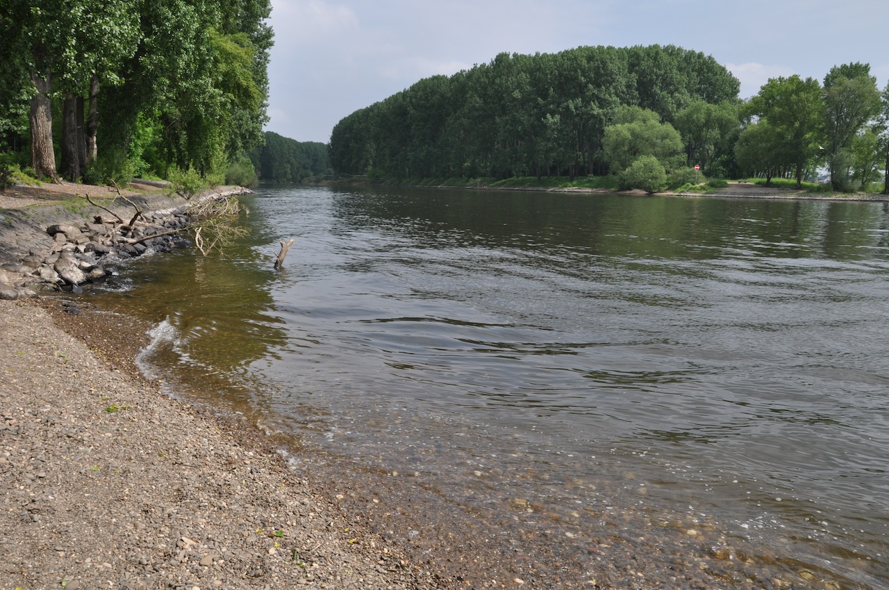 Wandern am Rhein: Die 7 schönsten Rundtouren bei Bonn-Köln-Düsseldorf ...