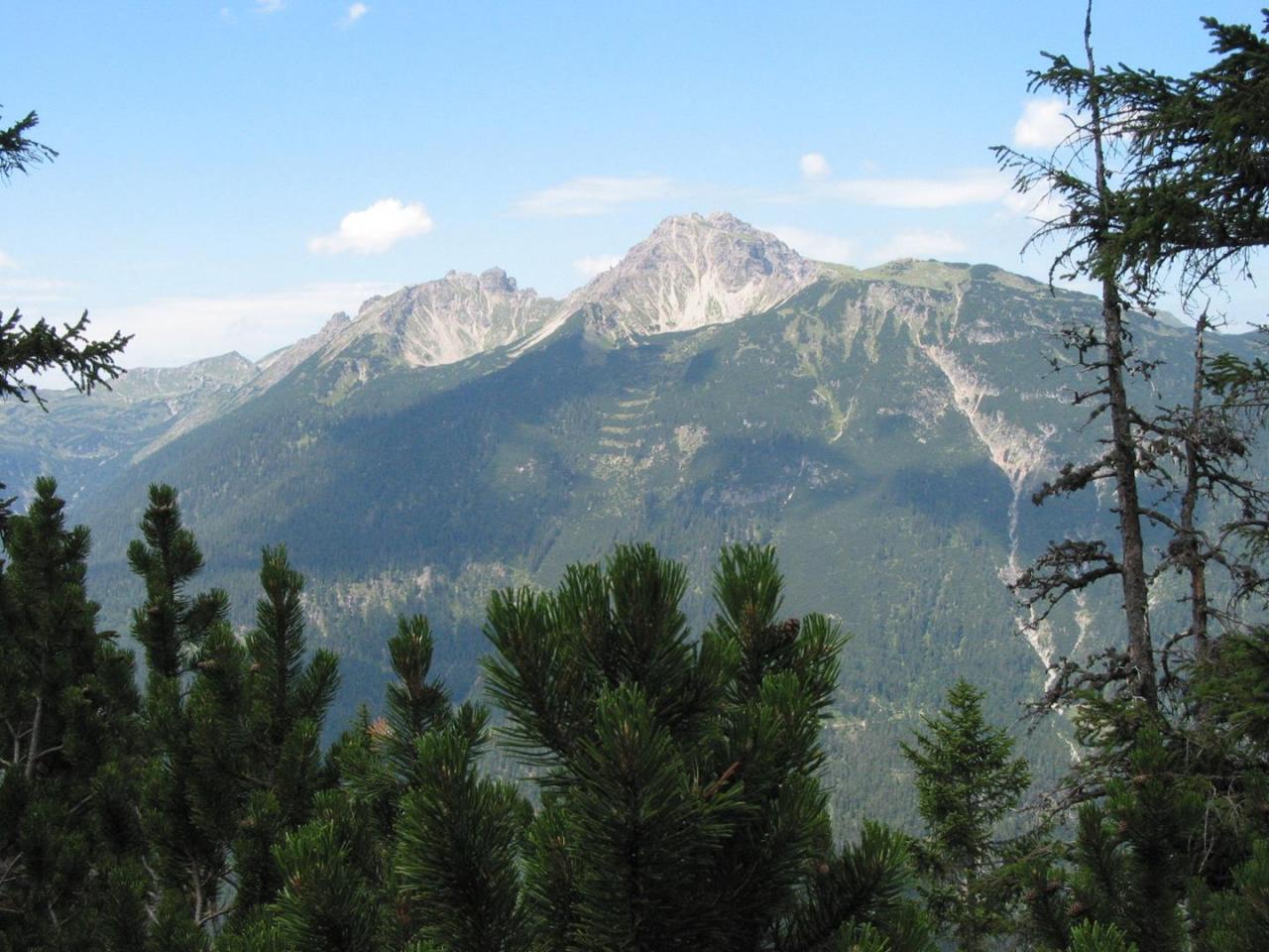 Von Weißenbach am Lech hinauf zur Leilachspitze (Österreich) | GPS ...