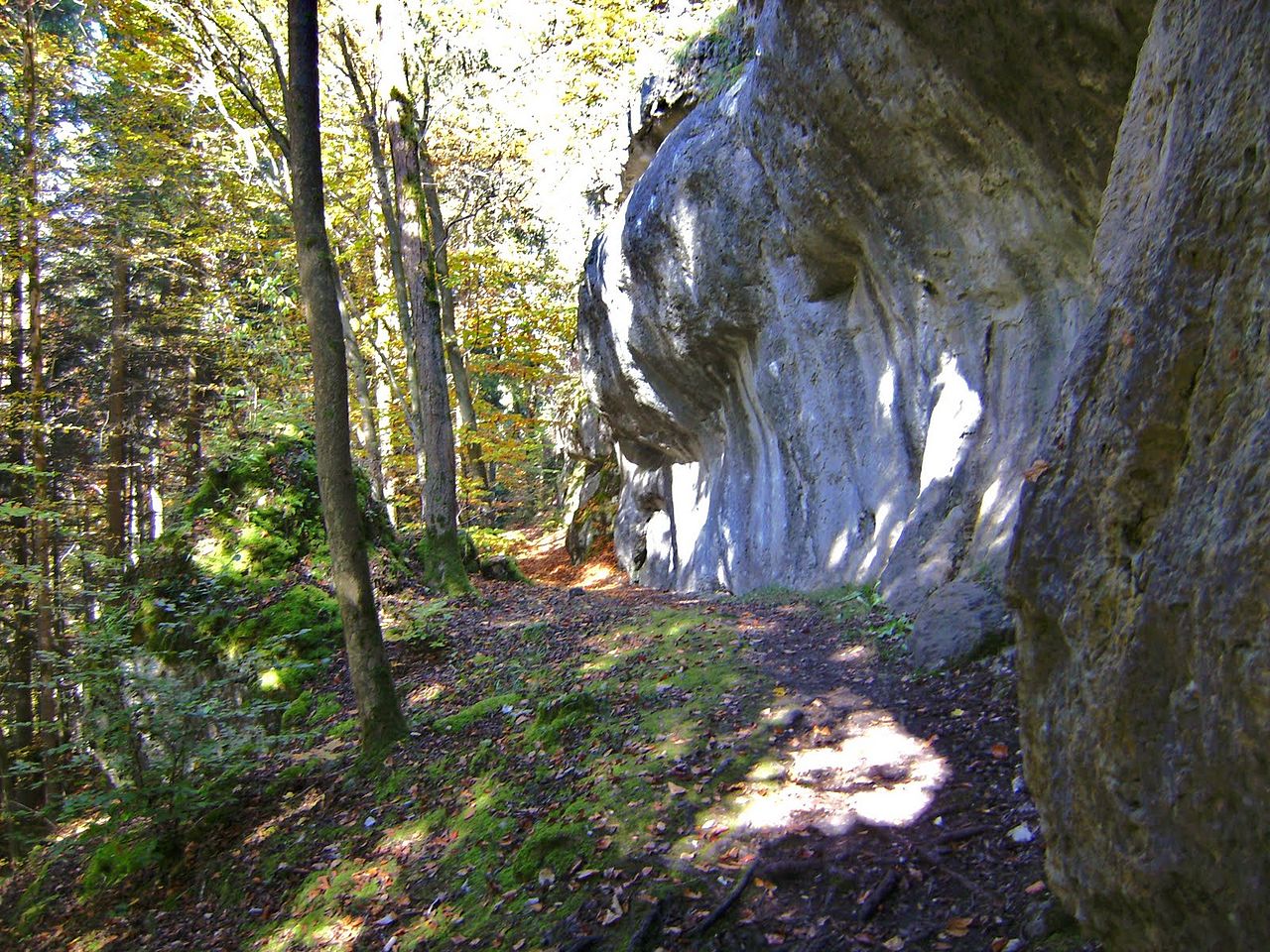 Himmelsleiter Pottenstein: Die Schönsten Wanderwege – NTNNJ