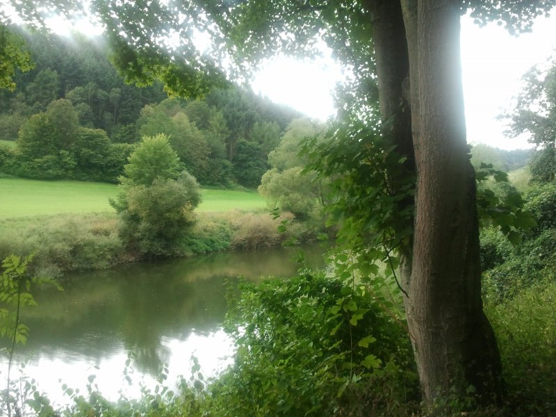 Rundwanderung um Cramberg (Lahn) | GPS Wanderatlas