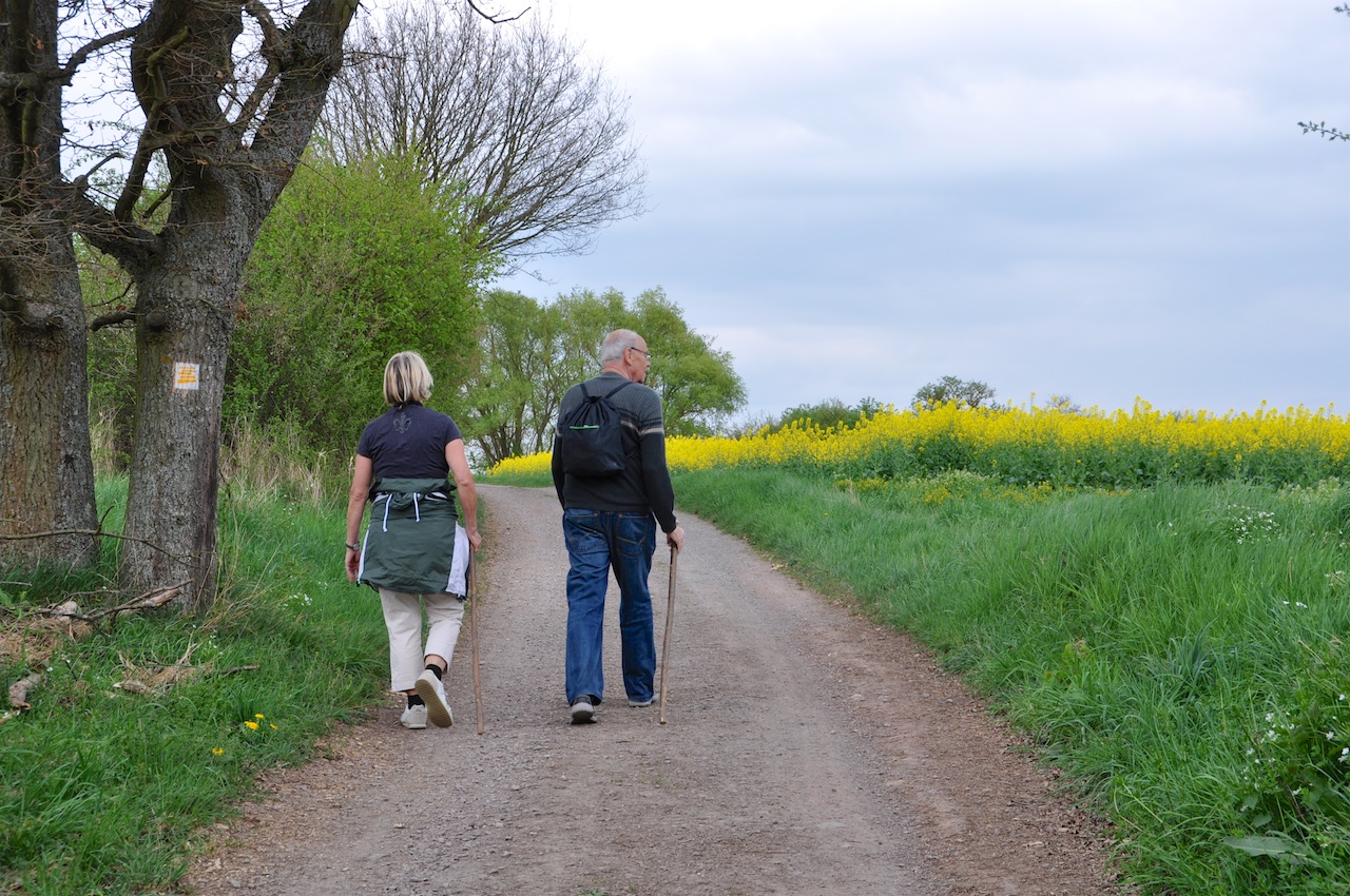 Lenus-Mars-Weg (Mosel) | GPS Wanderatlas