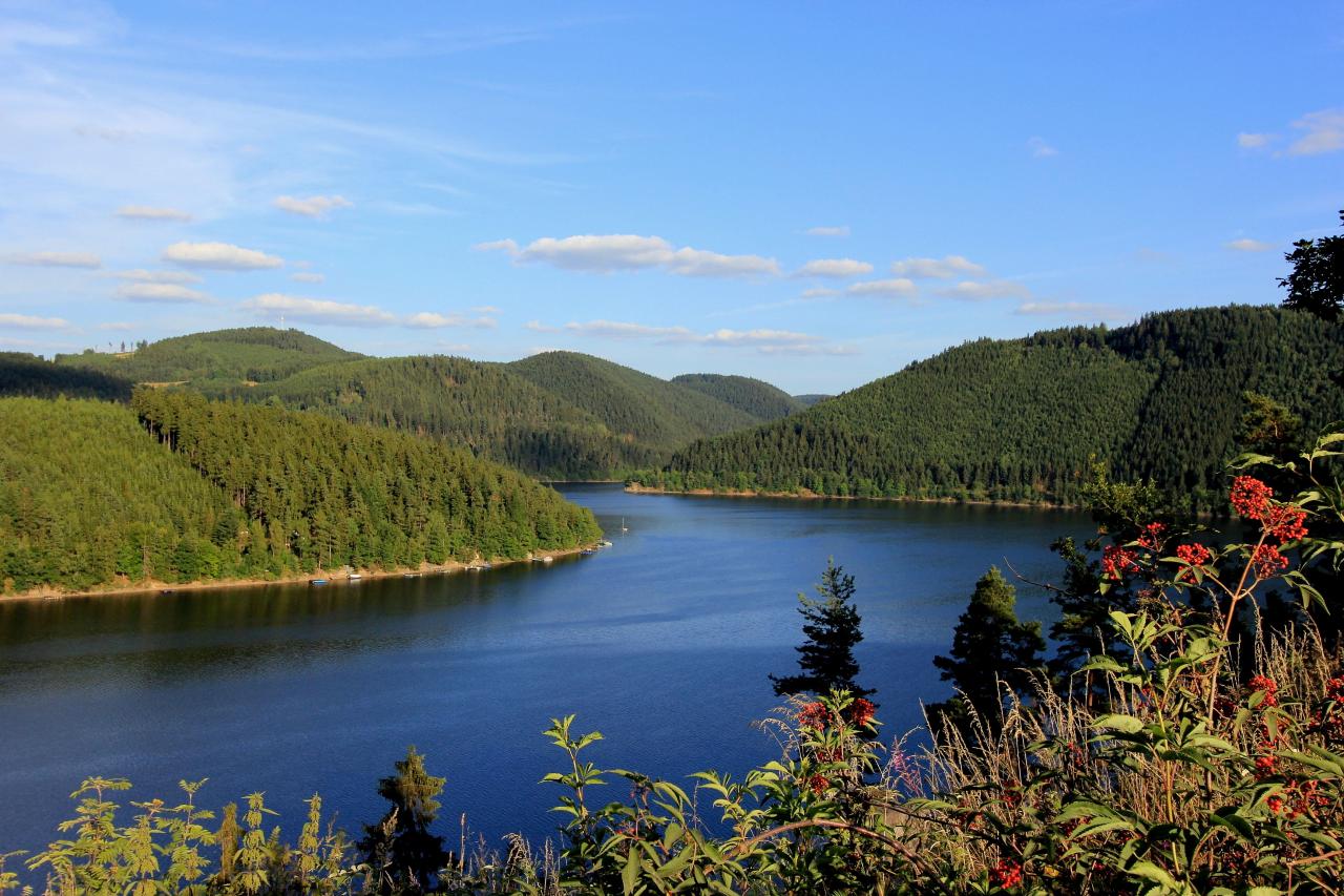 Hohenwarte Stausee Weg | GPS Wanderatlas