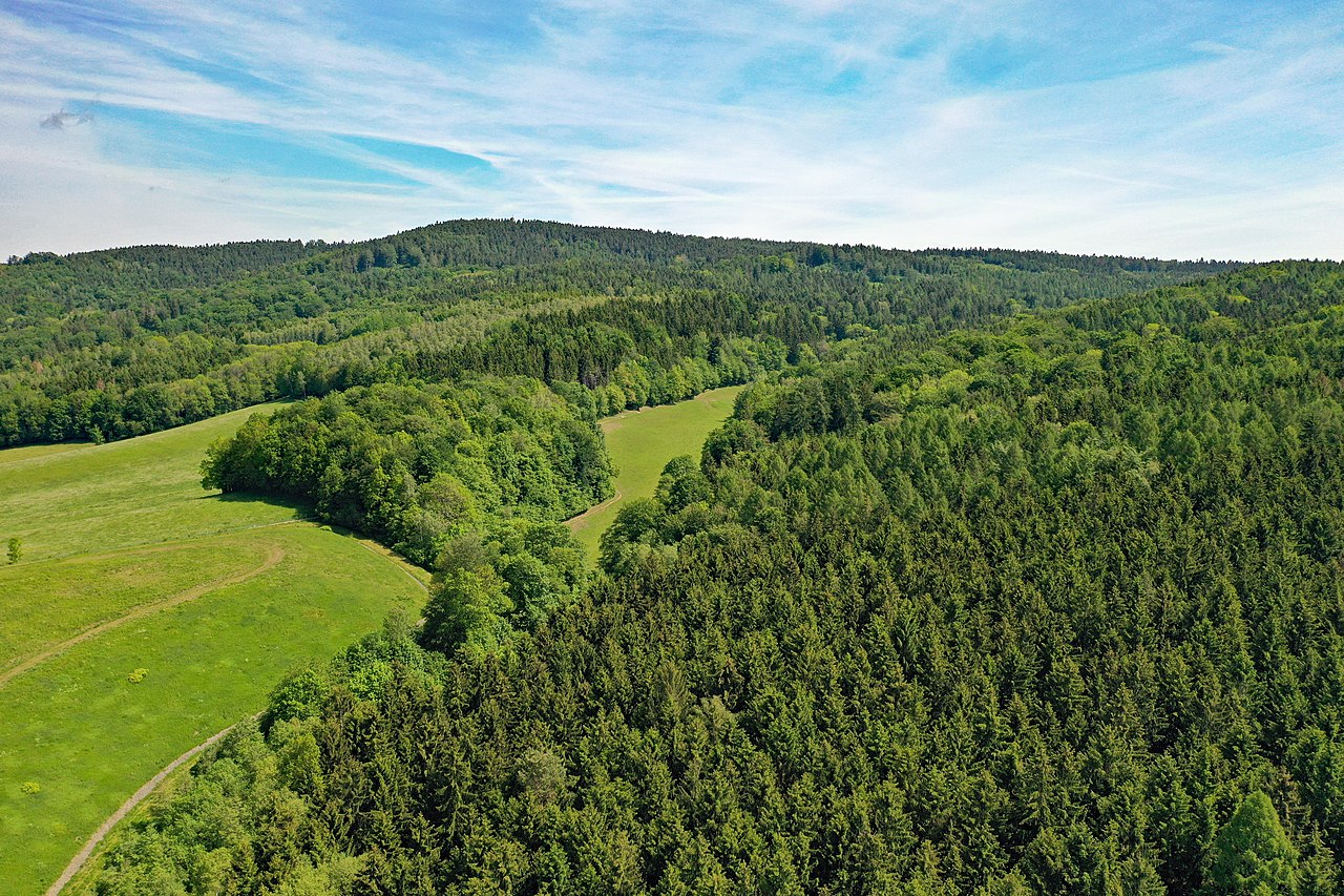 Rundtour von Sebnitz auf den Tanzplan | GPS Wanderatlas