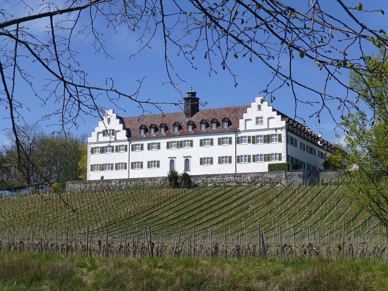 Wein- und Apfelweg (Immenstaad) | GPS Wanderatlas