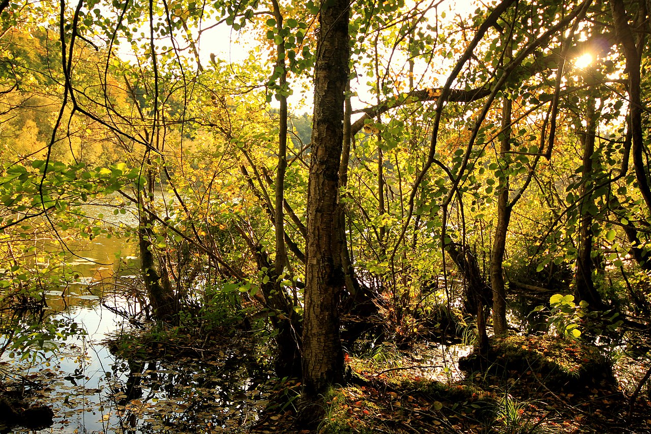 Teufelssee, Lieper Burg und Recknitzwiesen (Thelkow) | GPS Wanderatlas
