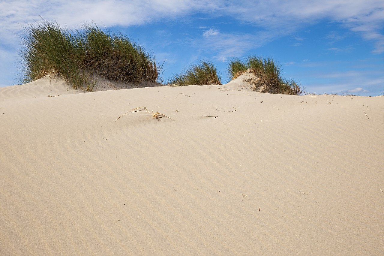 Borkum: Spaziergang auf der größten Ostfriesischen Insel | GPS Wanderatlas
