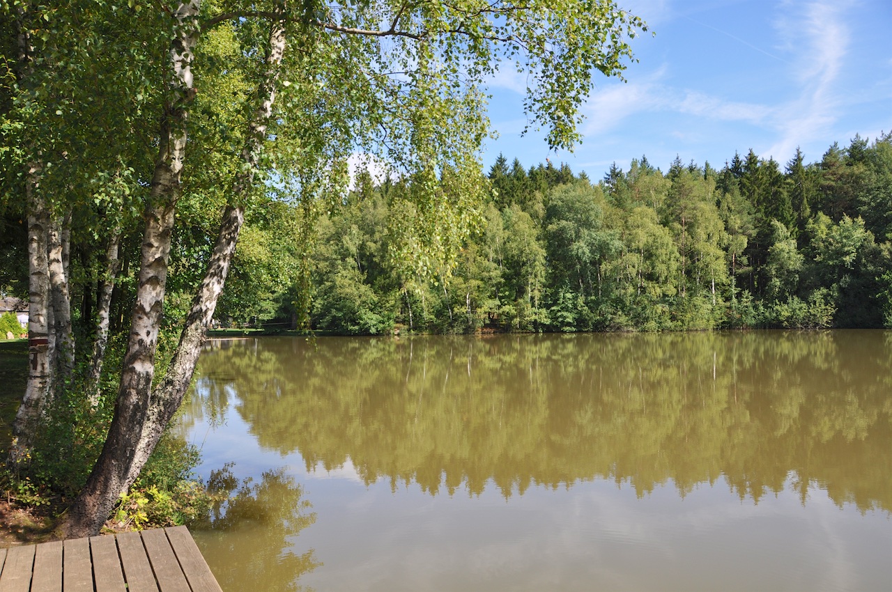 Geo-Erlebnispfad Waldsee (Argenthal) | GPS Wanderatlas