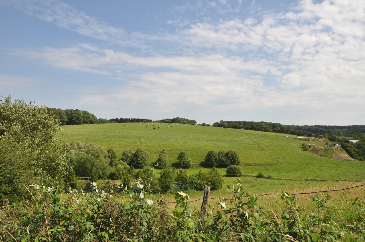 Radevormwald: Die 5 besten Rundwandertouren in und um Rade | GPS ...