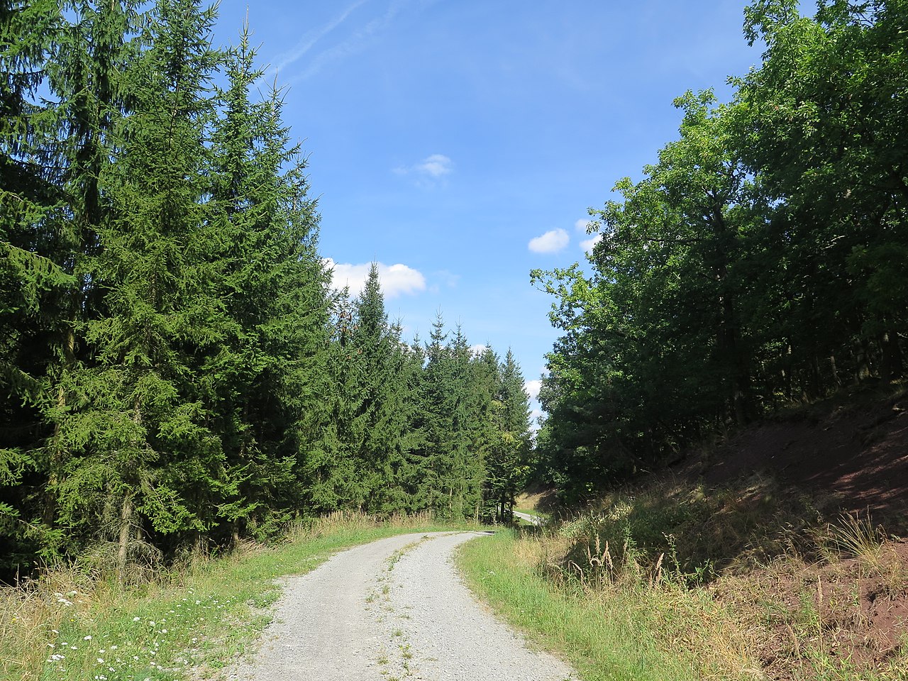 Erlebnistour über den Hügeln von Sulzfeld | GPS Wanderatlas