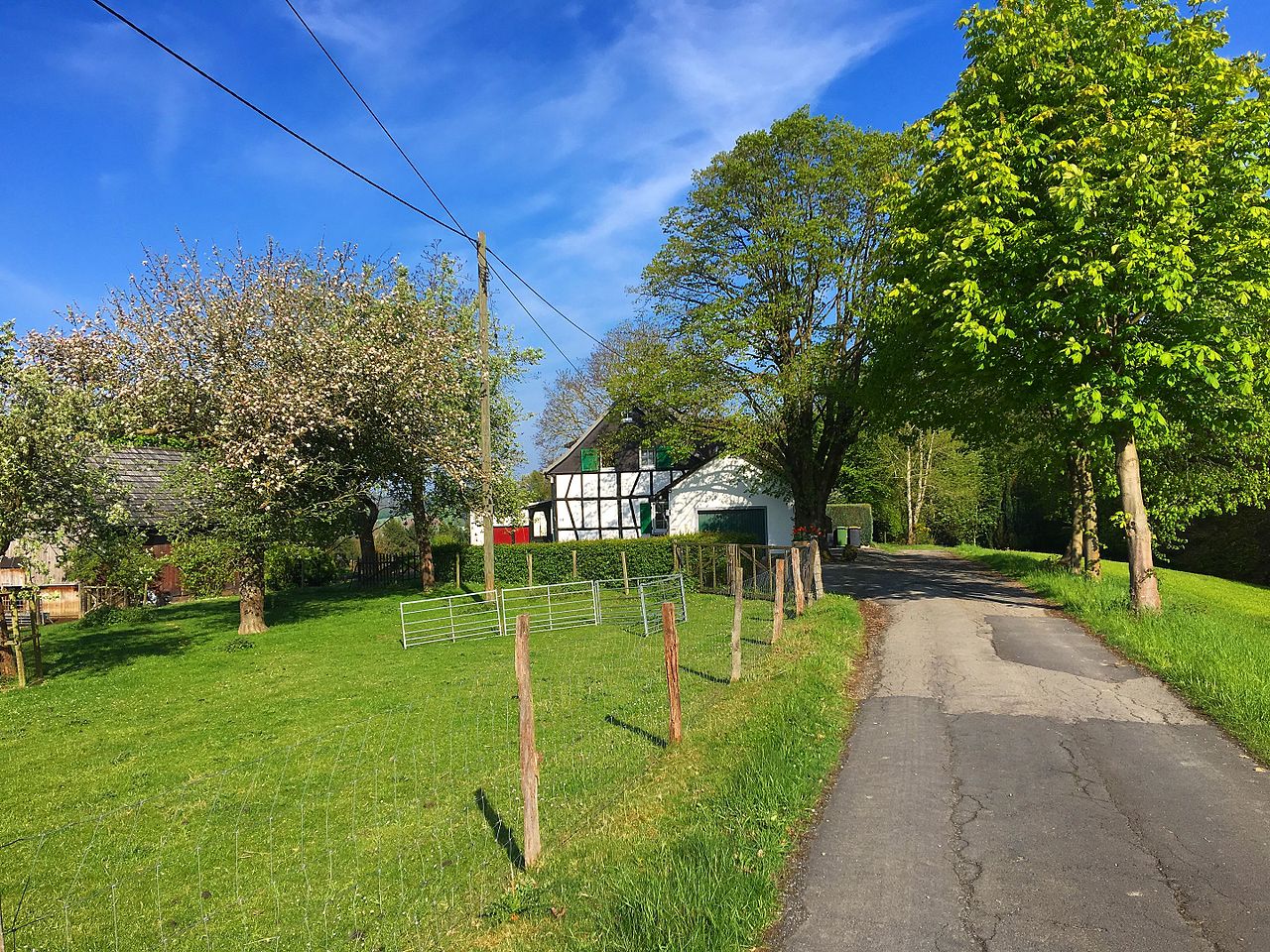 Die 5 besten Rundwanderungen in Overath (Bergisches Land) | GPS Wanderatlas