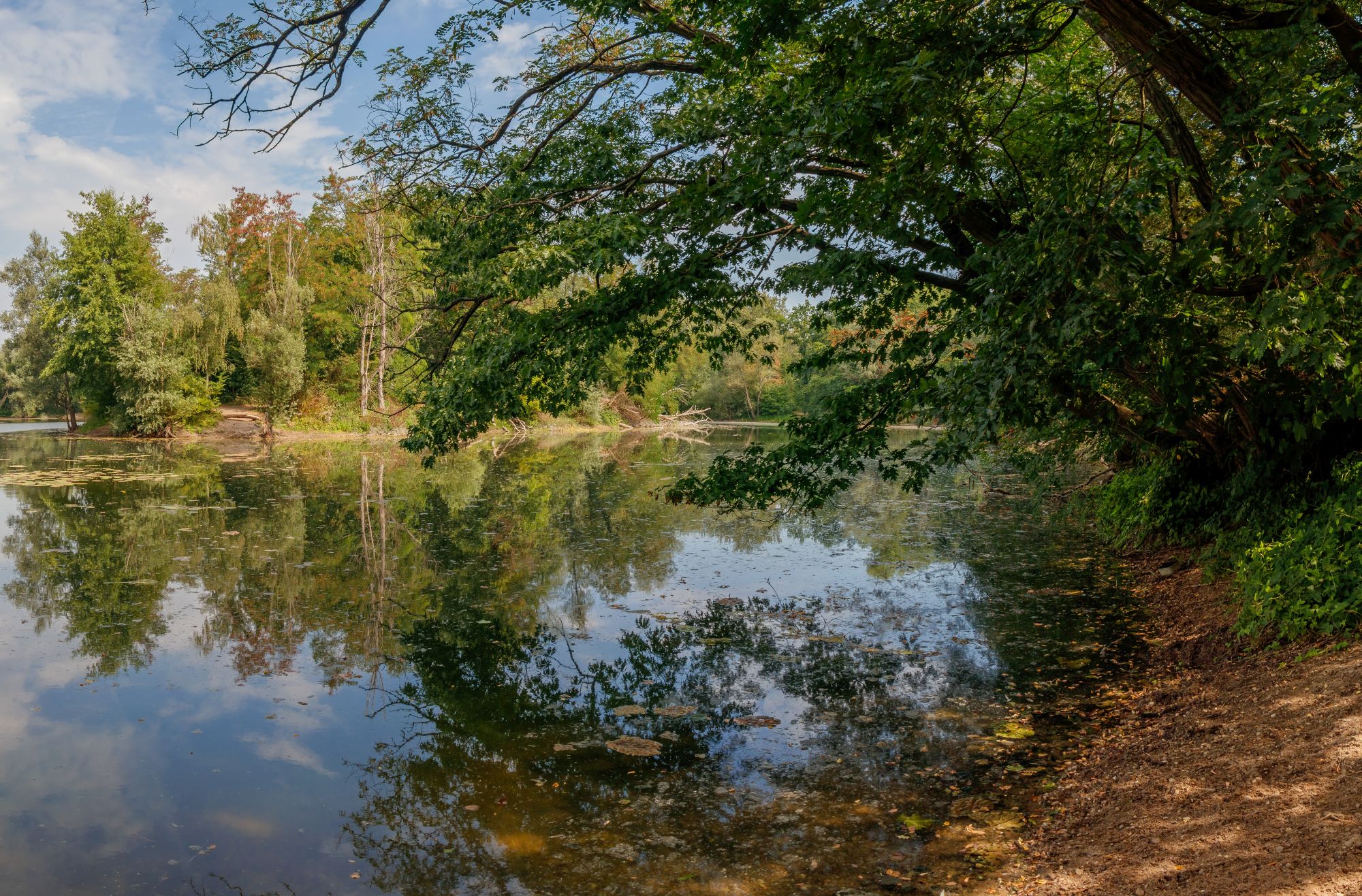 Oberwald-Runde (Karlsruhe) | GPS Wanderatlas