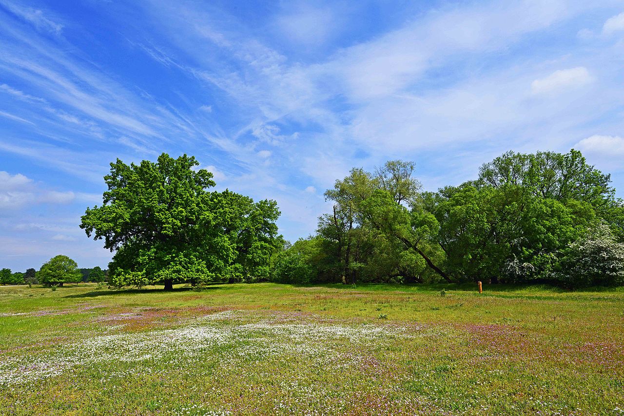 Oberasbacher Rundweg | GPS Wanderatlas
