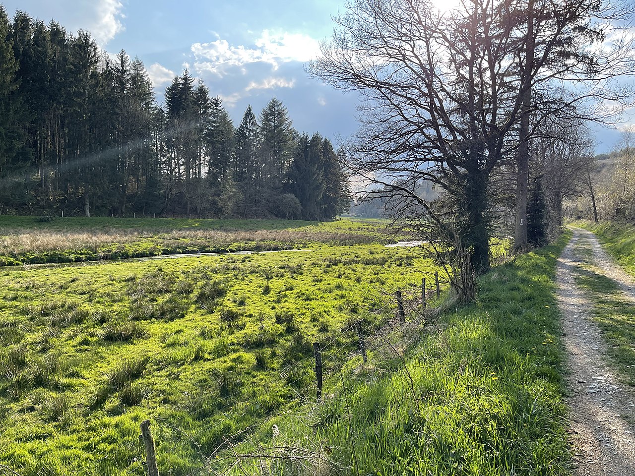 Éislek Pad Asselborn | GPS Wanderatlas