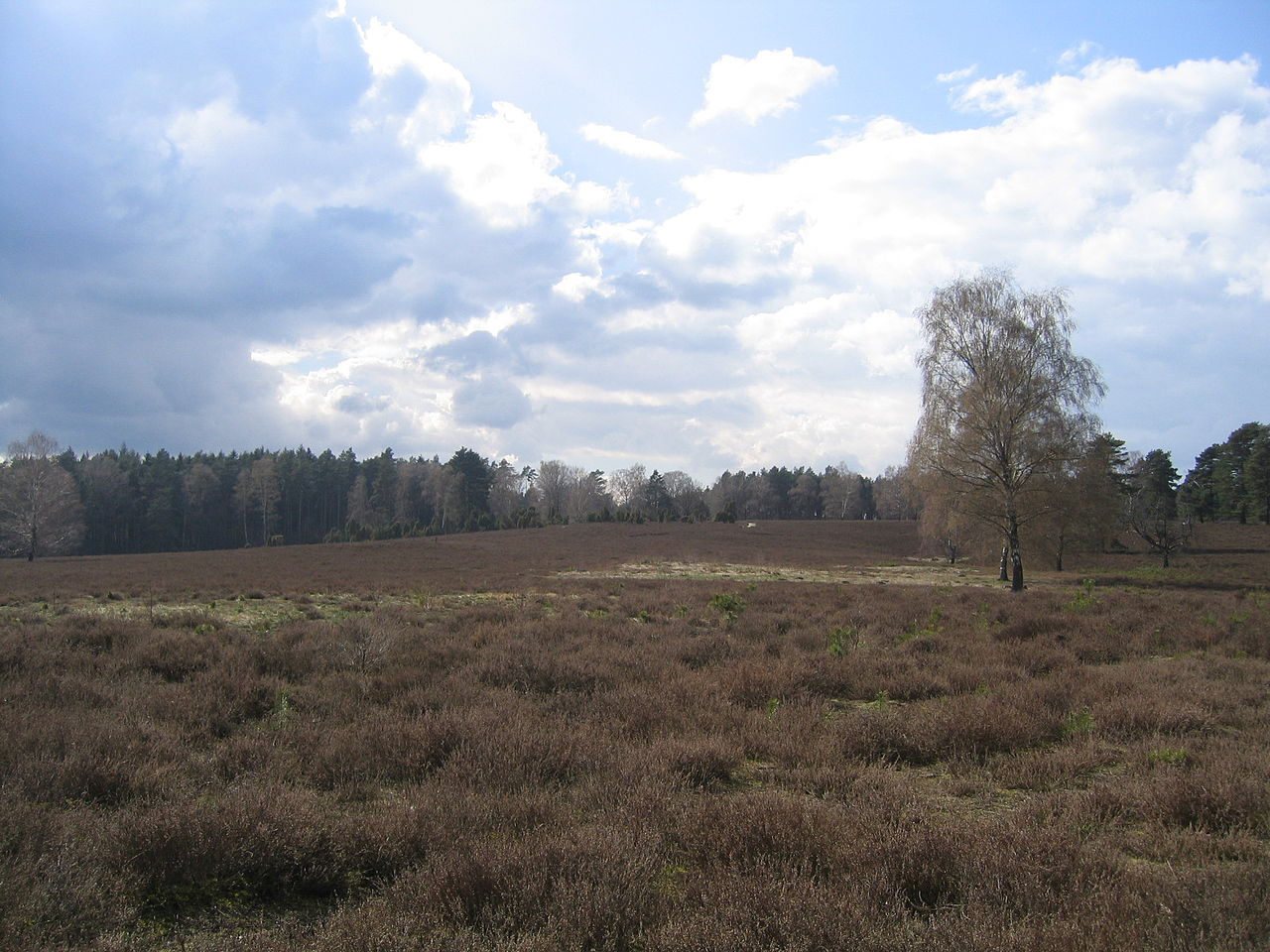 Heideschleife Müden (Örtze) | GPS Wanderatlas
