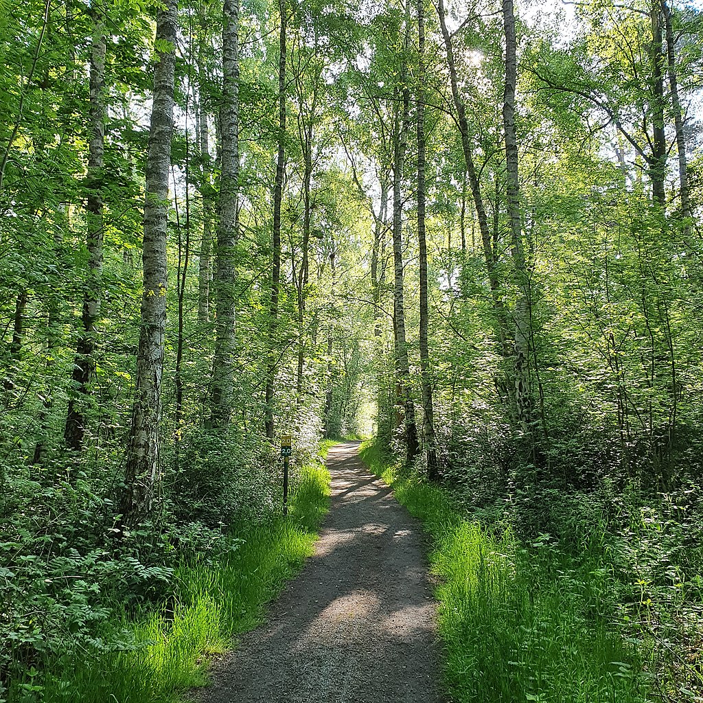 Unterwegs im Naturreservat Norra Sandskogen (Ystad) | GPS Wanderatlas