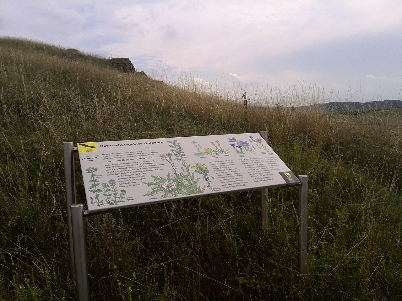 Wanderung zum Goldberg (Nördlinger Ries) | GPS Wanderatlas