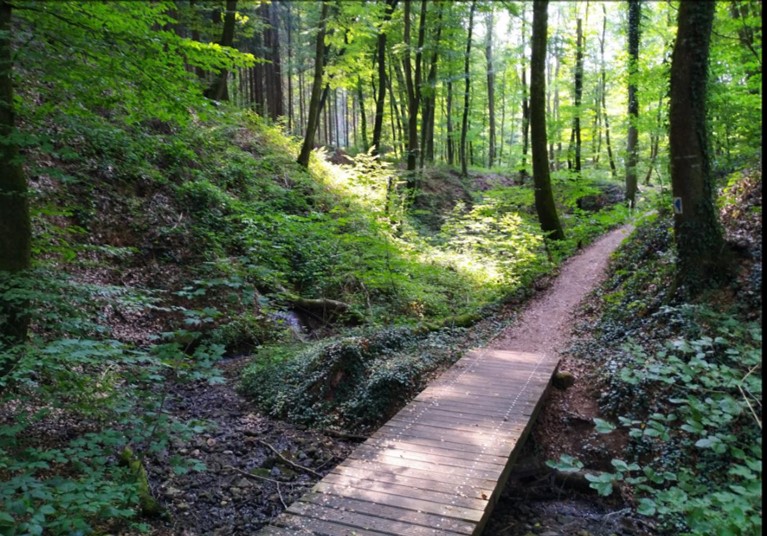 Guttland Trail Siwe Brécke Wee | GPS Wanderatlas