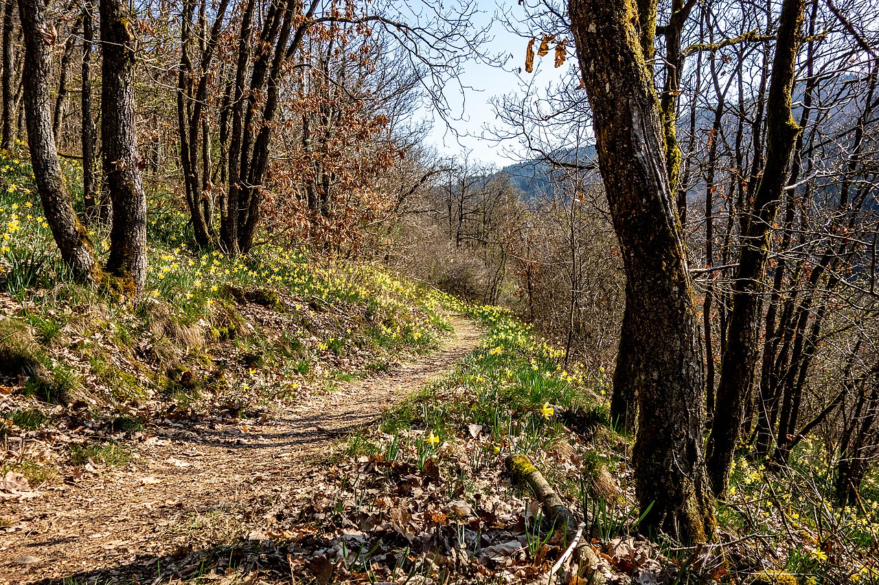 Éislek Pad Lellingen | GPS Wanderatlas