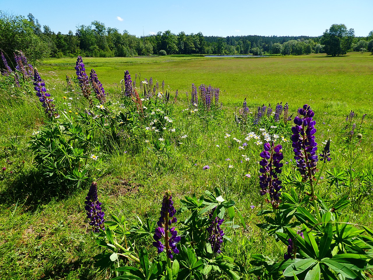 Orte der Stille und Ruhe bei Essingen | GPS Wanderatlas