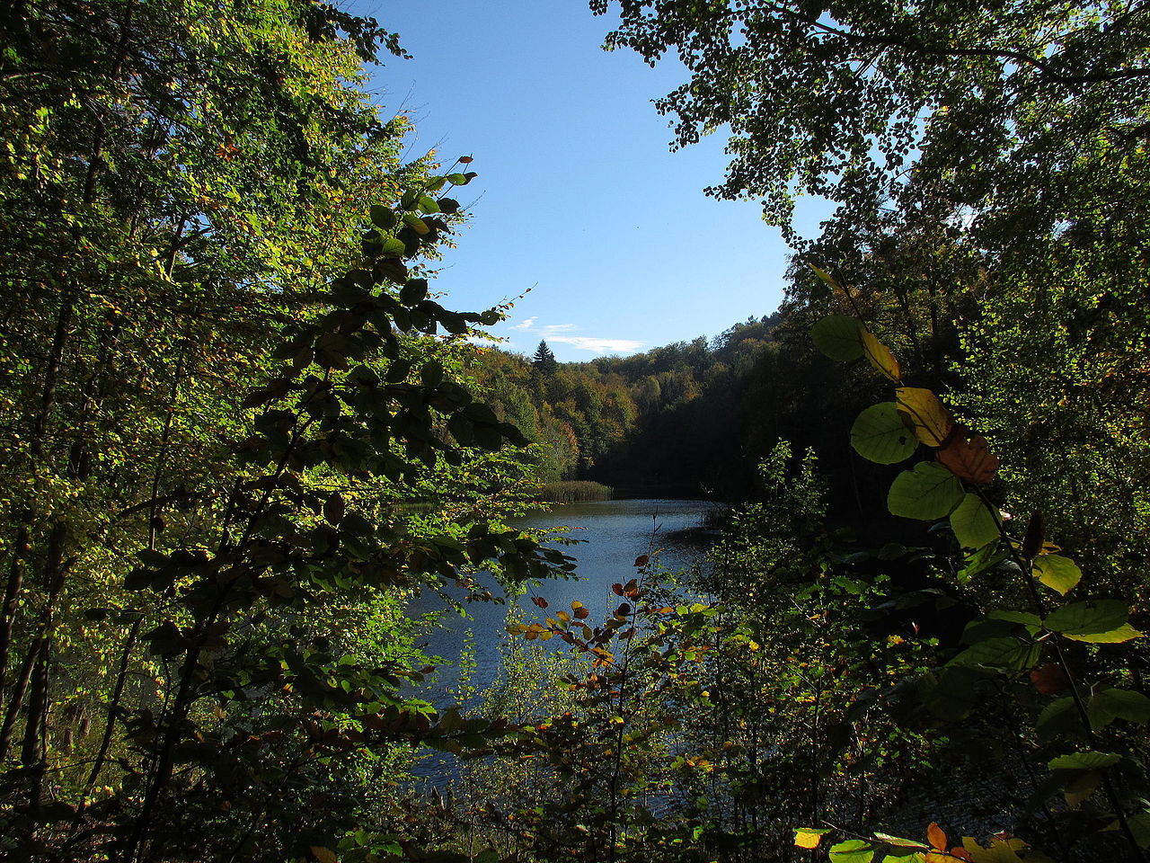 Von Bad Freienwalde zum Baasee (im Sonnenburger Wald) | GPS Wanderatlas