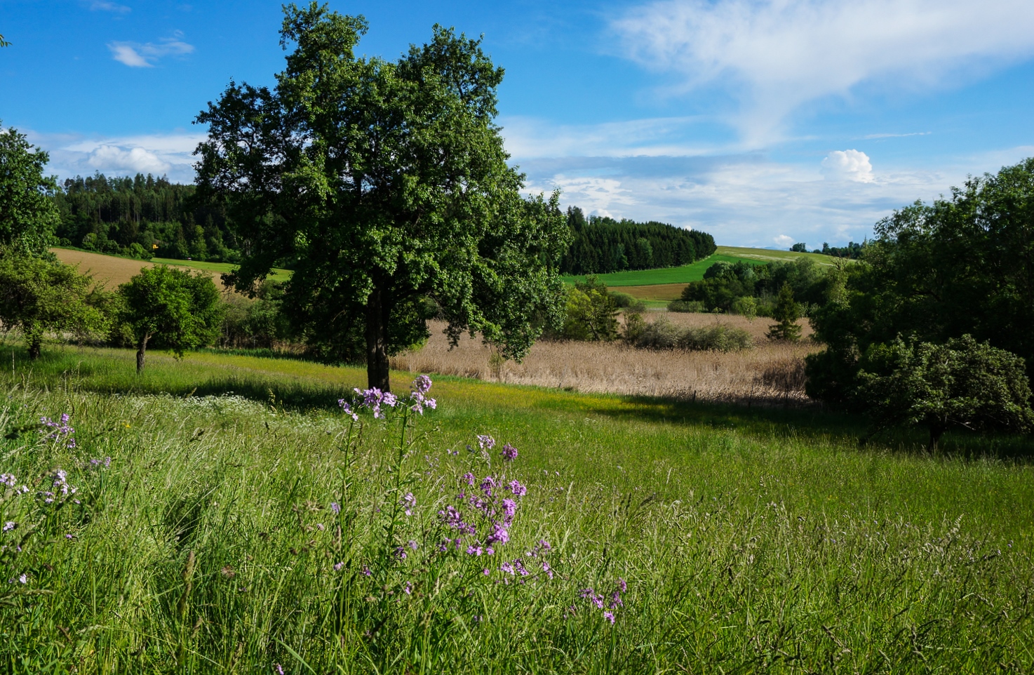 Althofen Aussichtsweg | GPS Wanderatlas