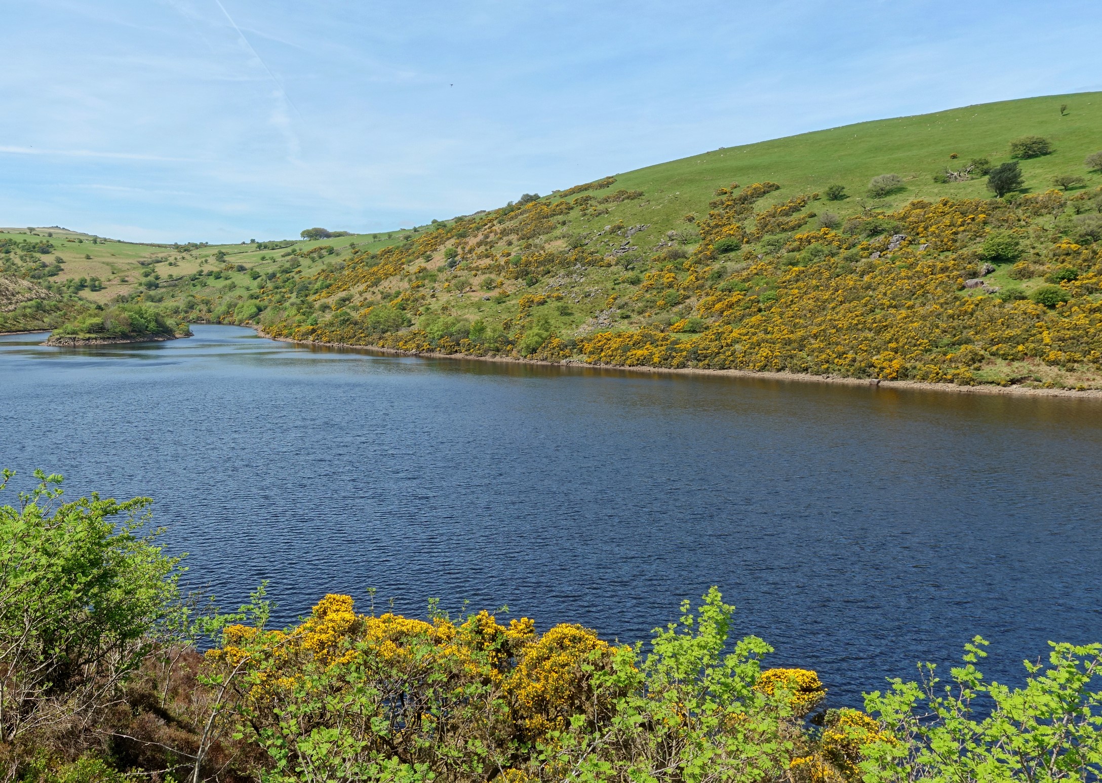 Runde vom Meldon Reservoir zum High Willhays | GPS Wanderatlas