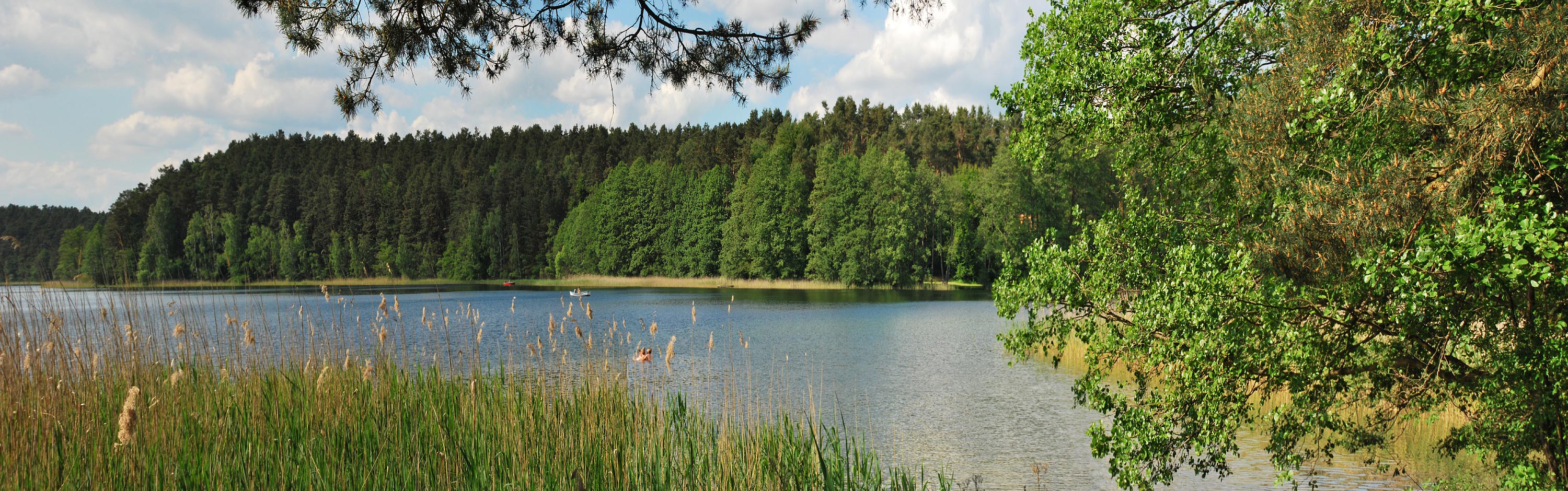 Moorerlebnispfad Stechlin | GPS Wanderatlas