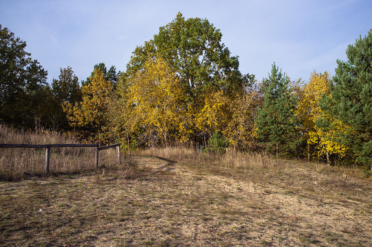 Wanderung Heiligensee und Baumberge | GPS Wanderatlas