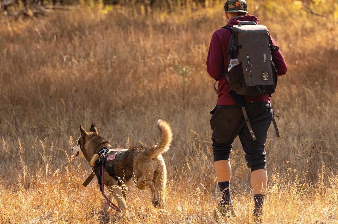 Wandern mit Hund: Die 5 Top-Wandergebiete in Deutschland | GPS Wanderatlas
